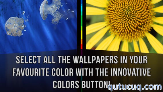 Ekran Şəkilləri Yüklə - Proqramlar, Oyunlar, Pulsuz Yüklə!